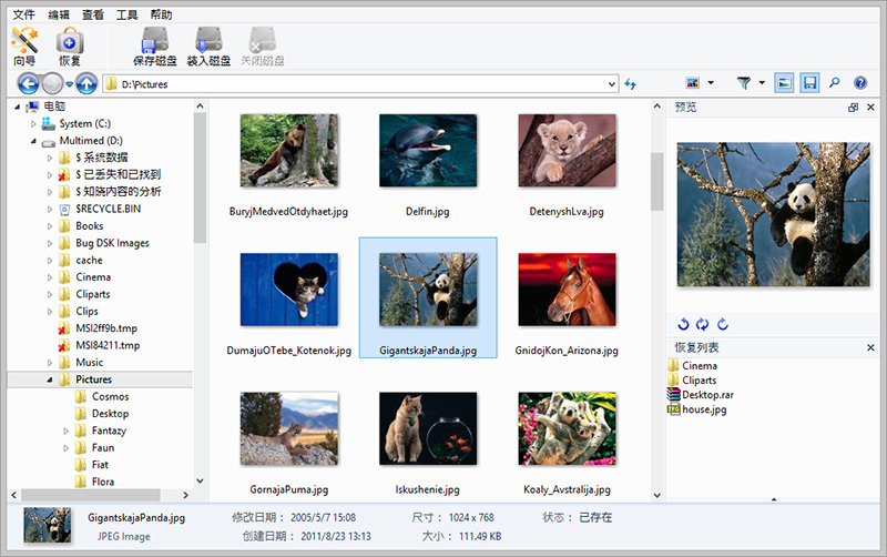 用于文件和数据修复的Magic Partition Recovery软件 | East Imperial Soft